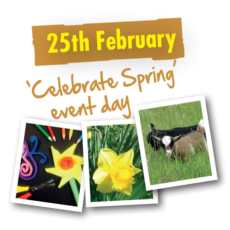 'Celebrate Spring' Event Day Thursday 25th February | All Things Wild ...