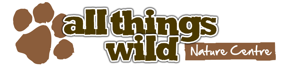 Soap Stars Here At All Things Wild | All Things Wild | Honeybourne ...