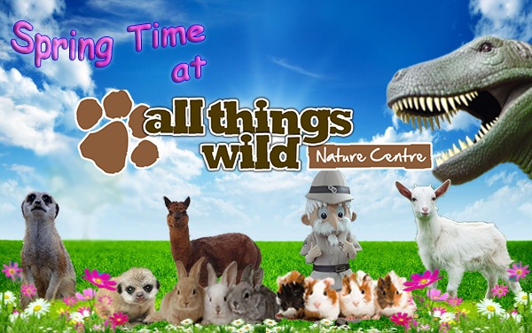 Spring Time Is Finally Here! | All Things Wild | Honeybourne | Evesham