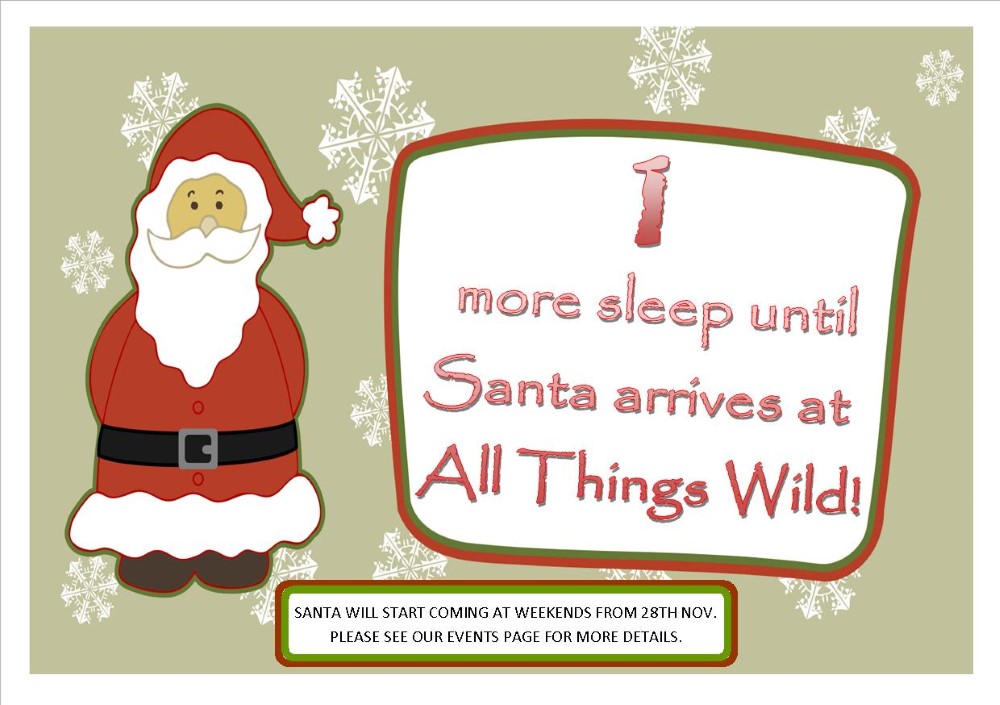 Ho Ho Ho! Come And See Santa Here From This Weekend! | All Things Wild ...