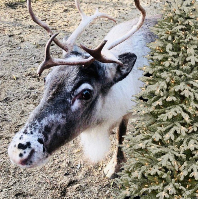 Our Wild Bunch | All Things Wild | Honeybourne | Evesham