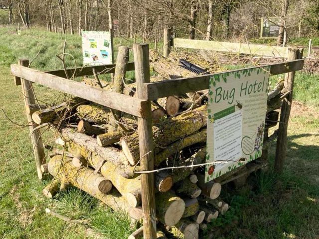 Nature Trail & Bug Land | Attractions | All Things Wild
