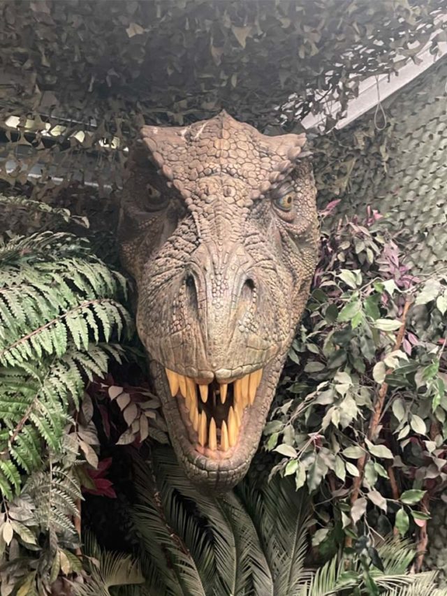 Dino Barn | Attractions | All Things Wild
