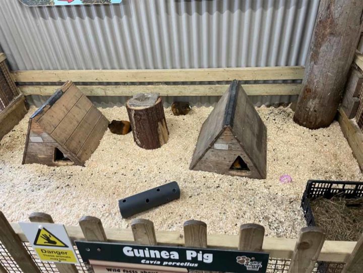 Farmyard Safari Barn | Attractions | All Things Wild