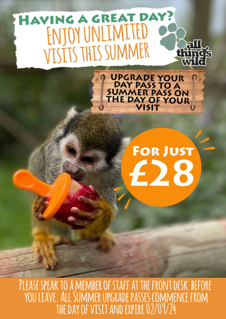 Summer Pass Upgrades! | All Things Wild | Honeybourne | Evesham