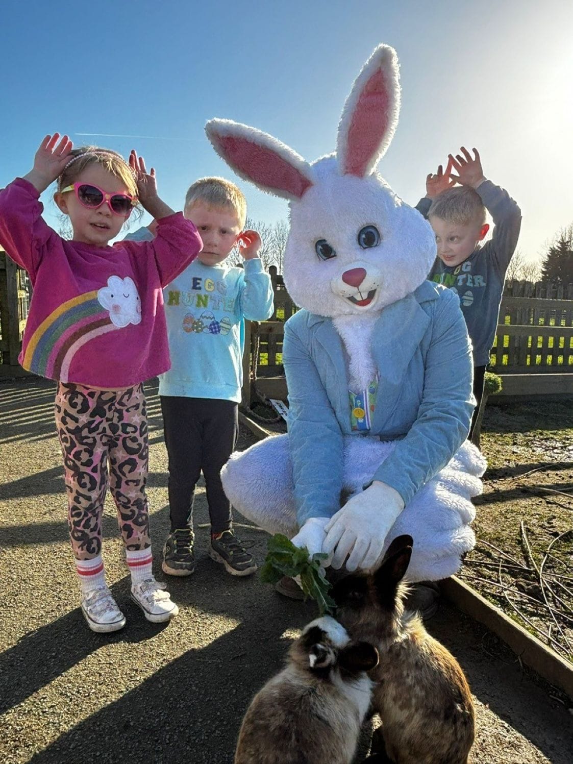 All Things Wild | Family Fun All Year Round